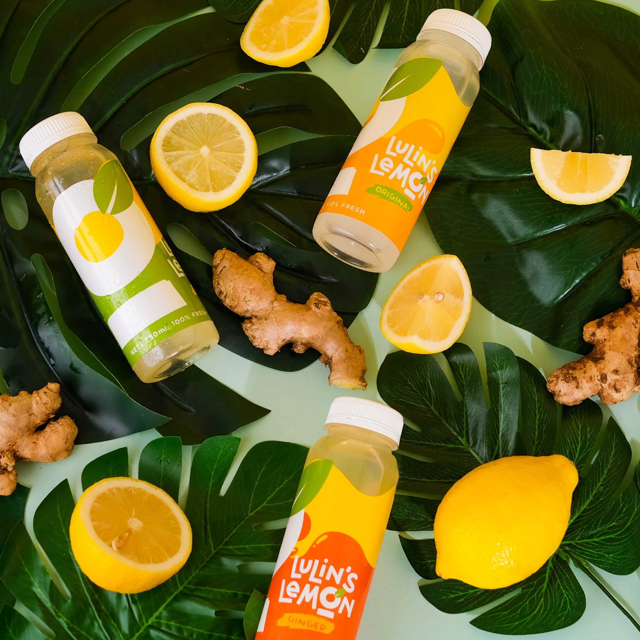 Buah Lemon Berkualitas - FAQ Lulin's Lemon